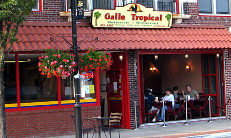 Gallo Tropical In Patchogue, Serving Latin American Cuisine | LI Blogger